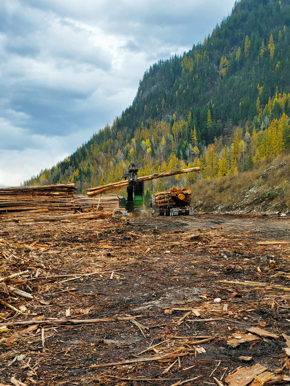 Contact - BC Eco Forestry Solutions