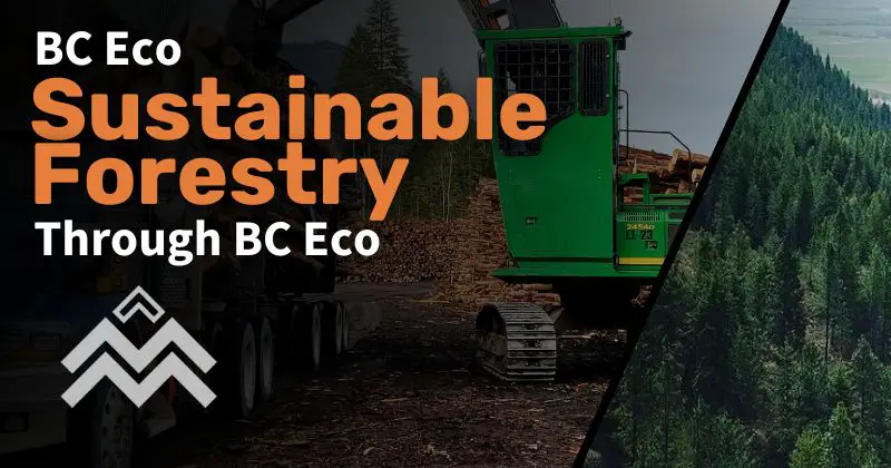 Sustainable Logging Practices With BC Eco Industrial Services - BC Eco ...