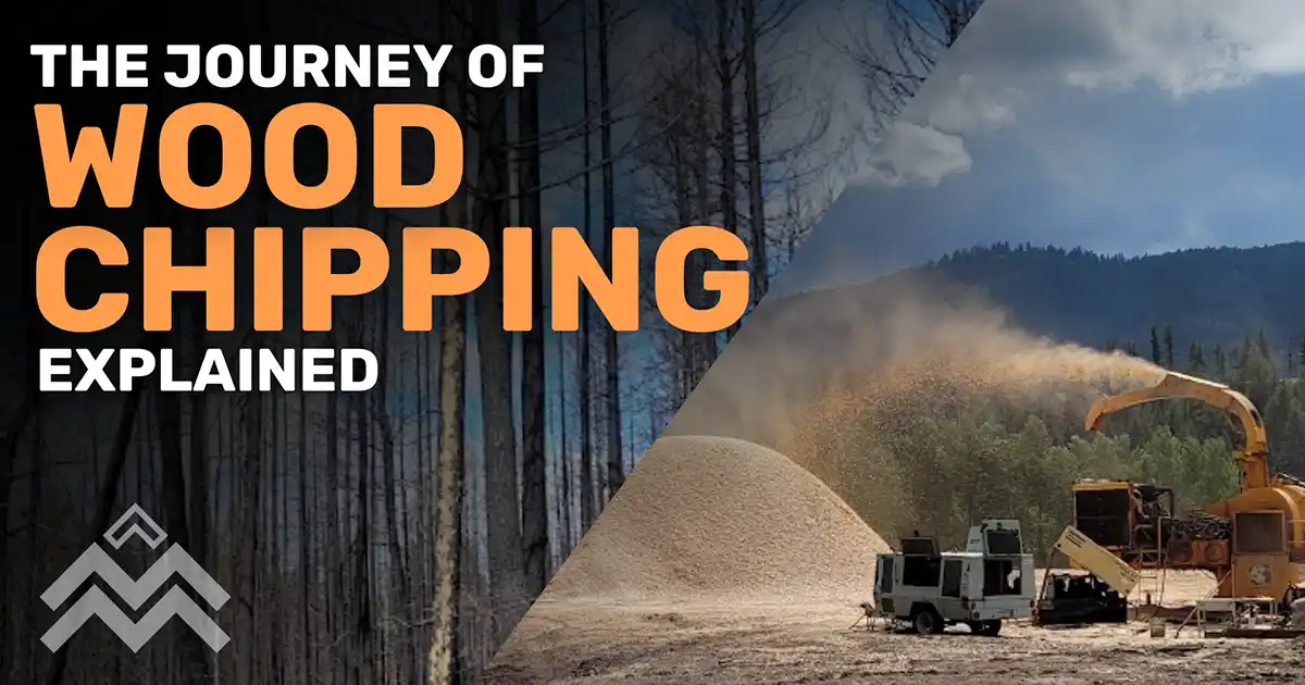 The Journey of Wood Chipping Explained - BC Eco Industrial Services